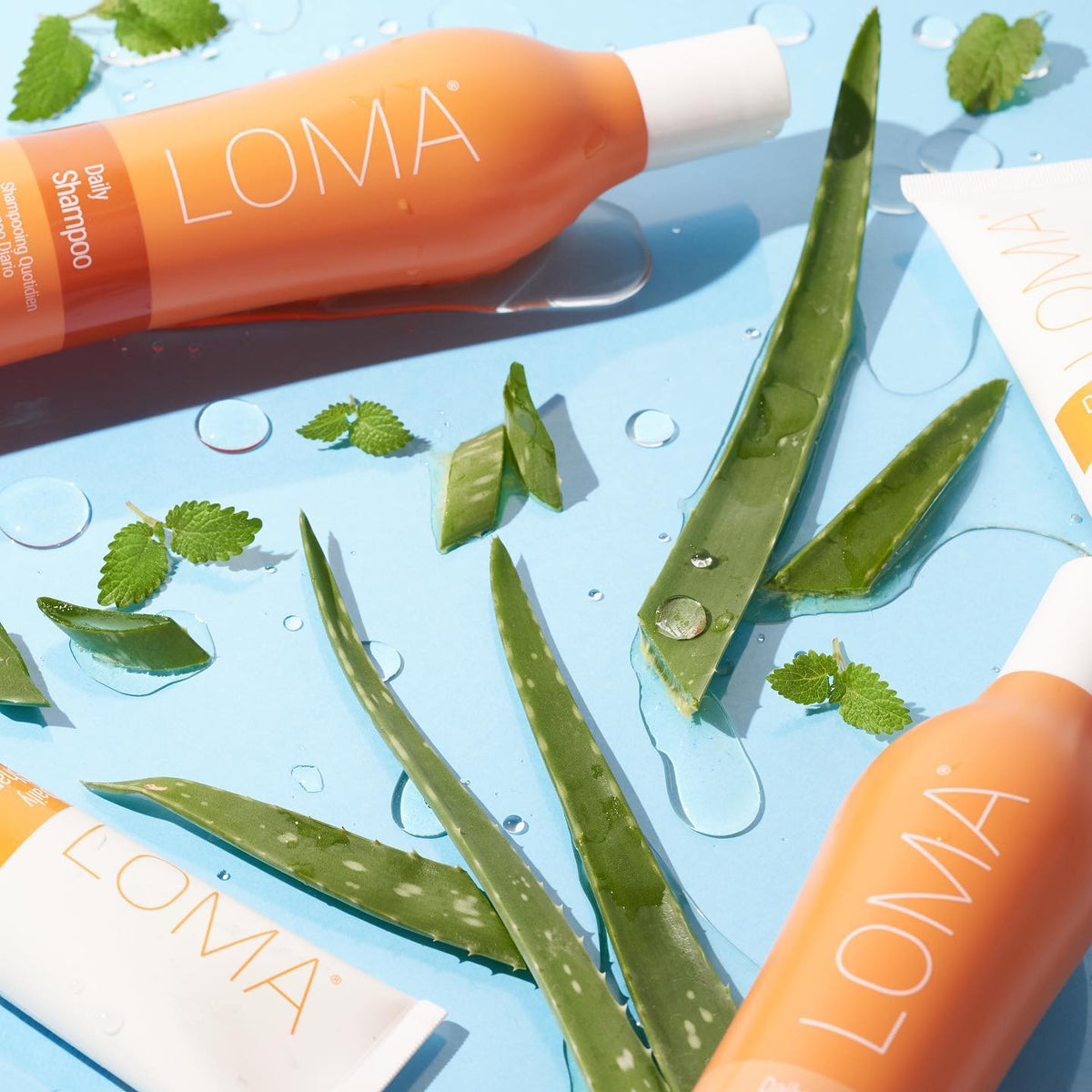 The LOMA Difference – re:connect